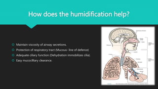 Humidification & Nebulization.pptx