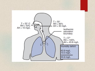 Humidification Therapy on ventilated patients | PPT