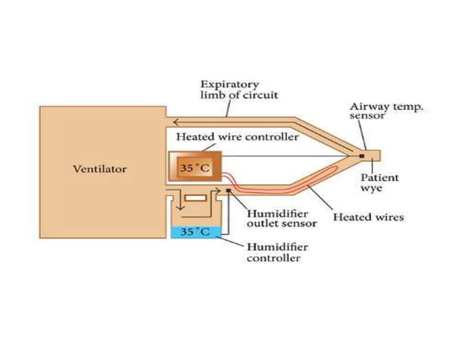 Humidifiers.pptx | Lung and Respiratory Health | Diseases and Conditions