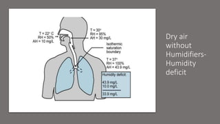 Humidifiers for Ventilators- Uses and Maintenance | PPTX