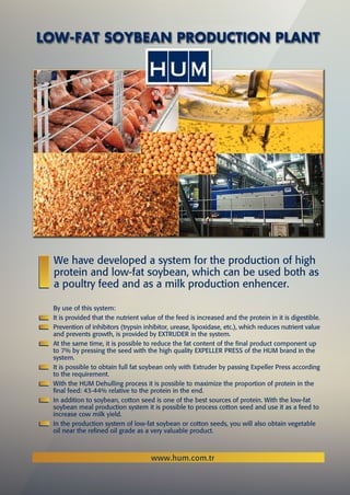 HUM Low-Fat Soybean Production Plant | PDF