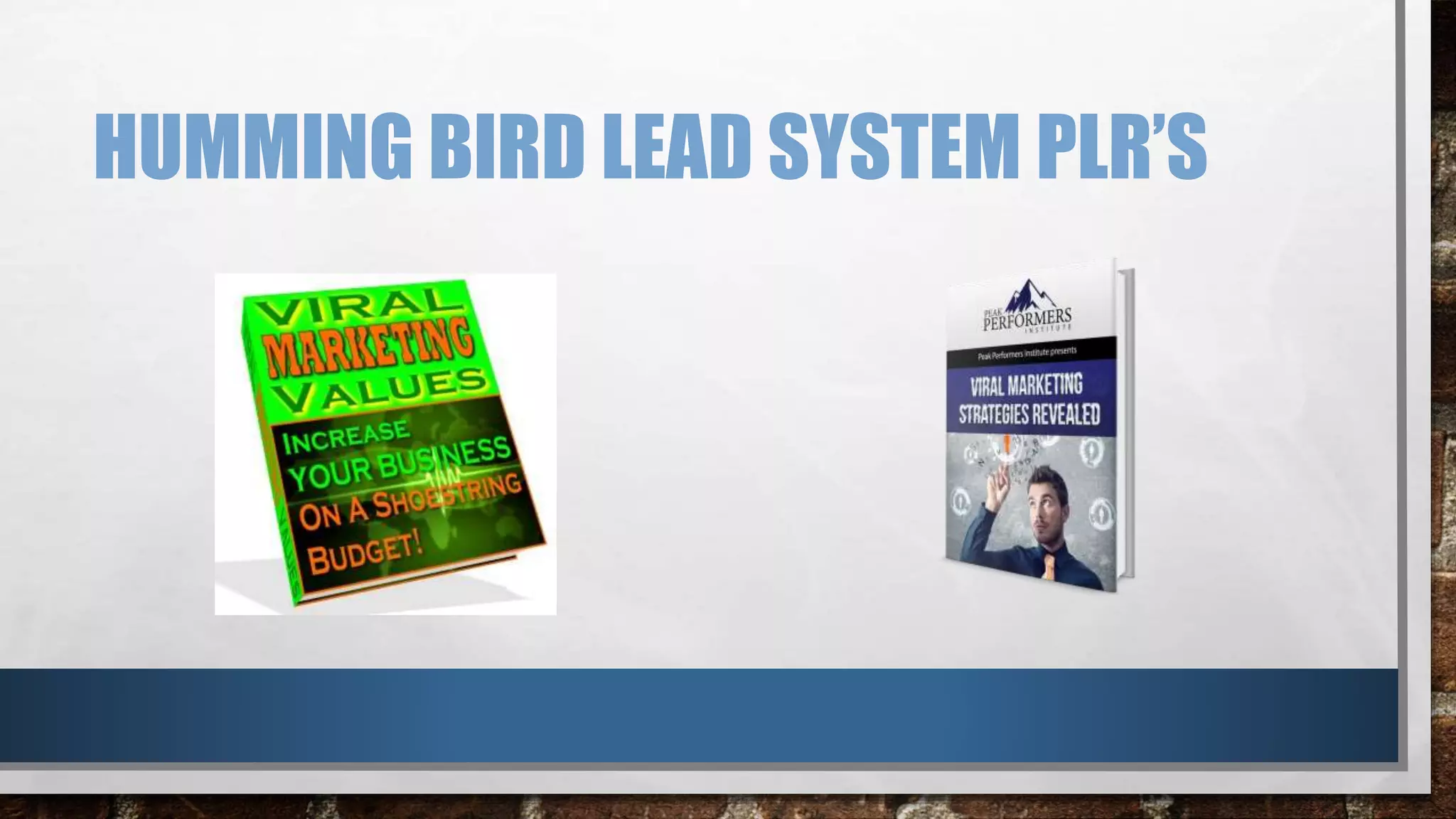 Humming bird lead generation system plr before and after | PPTX
