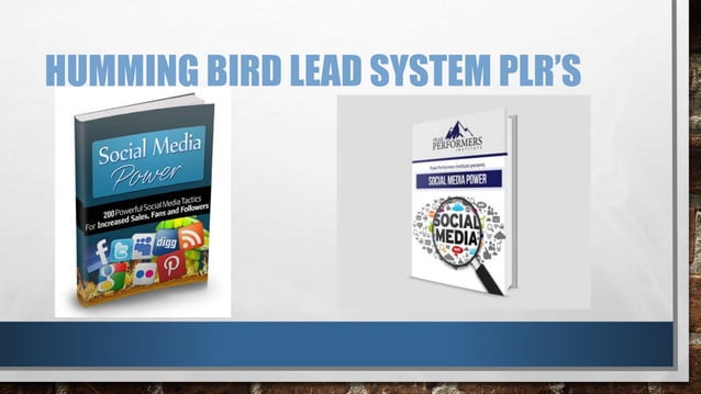 Humming bird lead generation system plr before and after | PPT