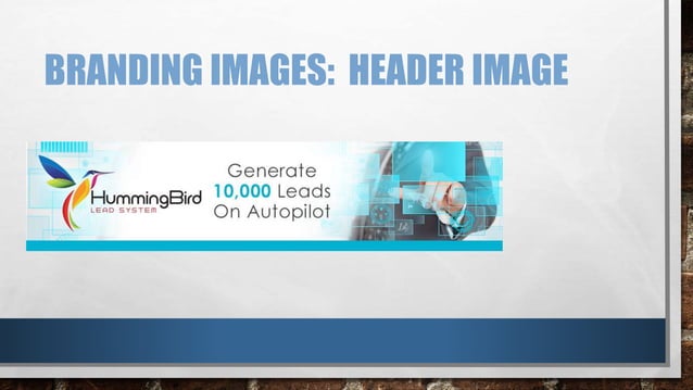 Humming bird lead generation system plr before and after | PPTX