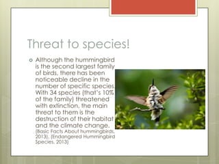 Hummingbirds are cool | PPTX