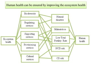 Human Health and Ecosystem Health.pdf