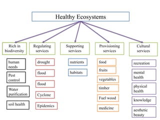 Human Health and Ecosystem Health.pdf