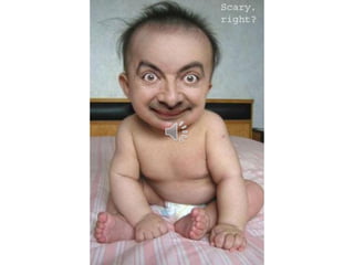 Humoorikad pildid | PDF