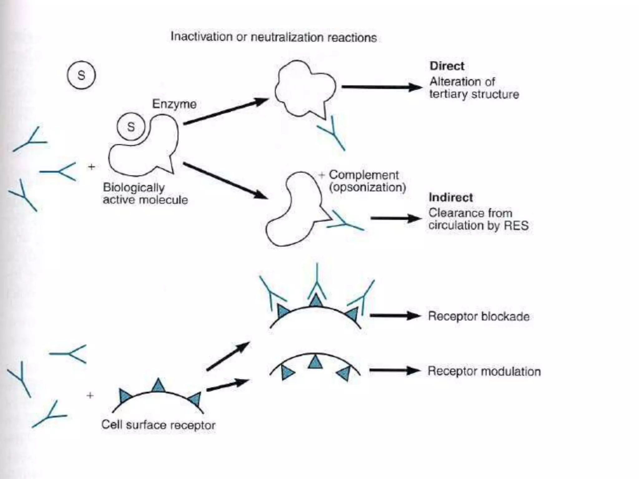 Humoral-Immunity-nature-mechanisms-and-kinetics.pdf | Free Download