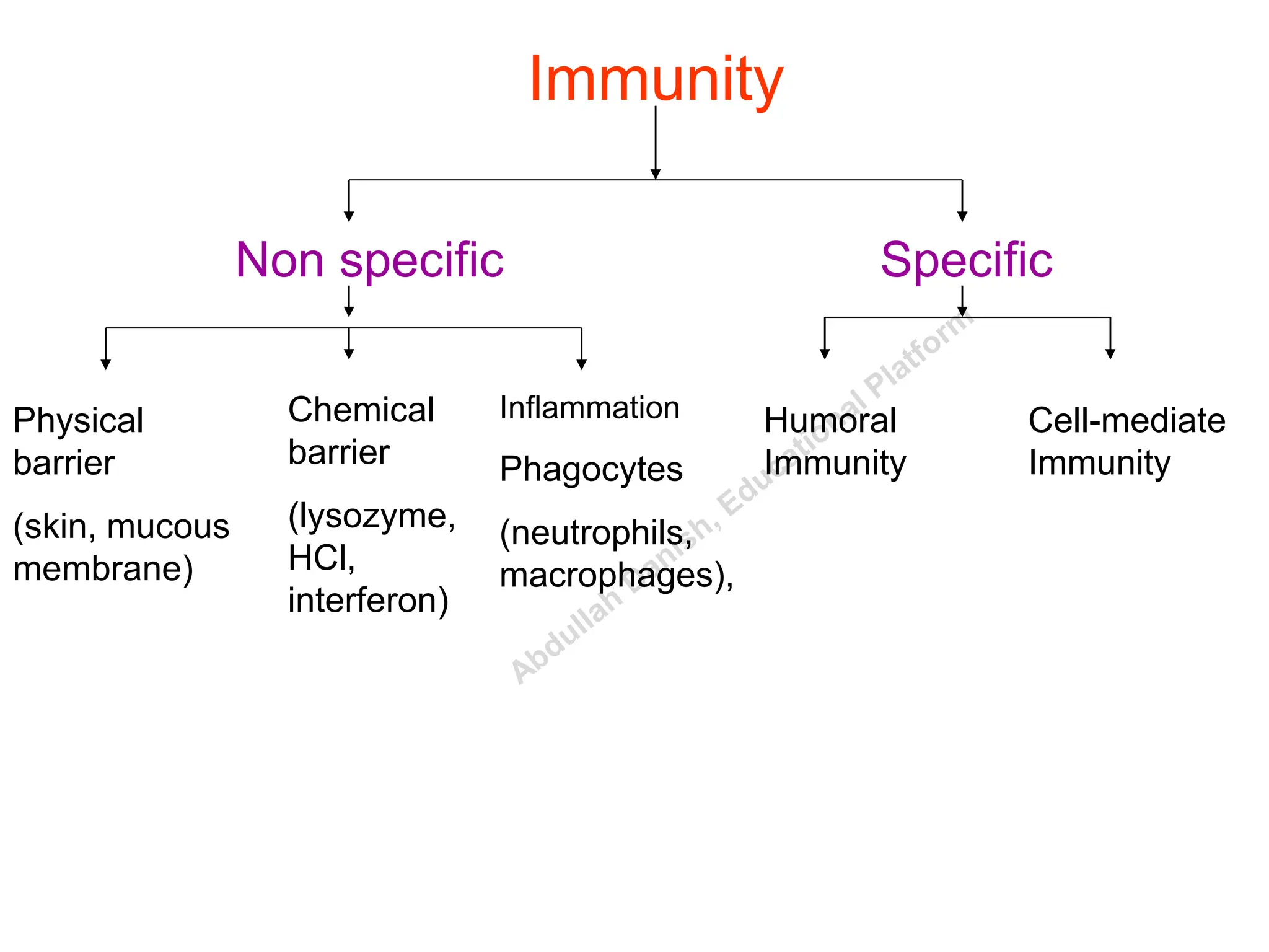 Humoral and cell mediated immunity, Educational Platform.pptx