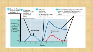 HUMORAL & CELL MEDIATED IMMUNE RESPONSE IN IMMUNE.pptx