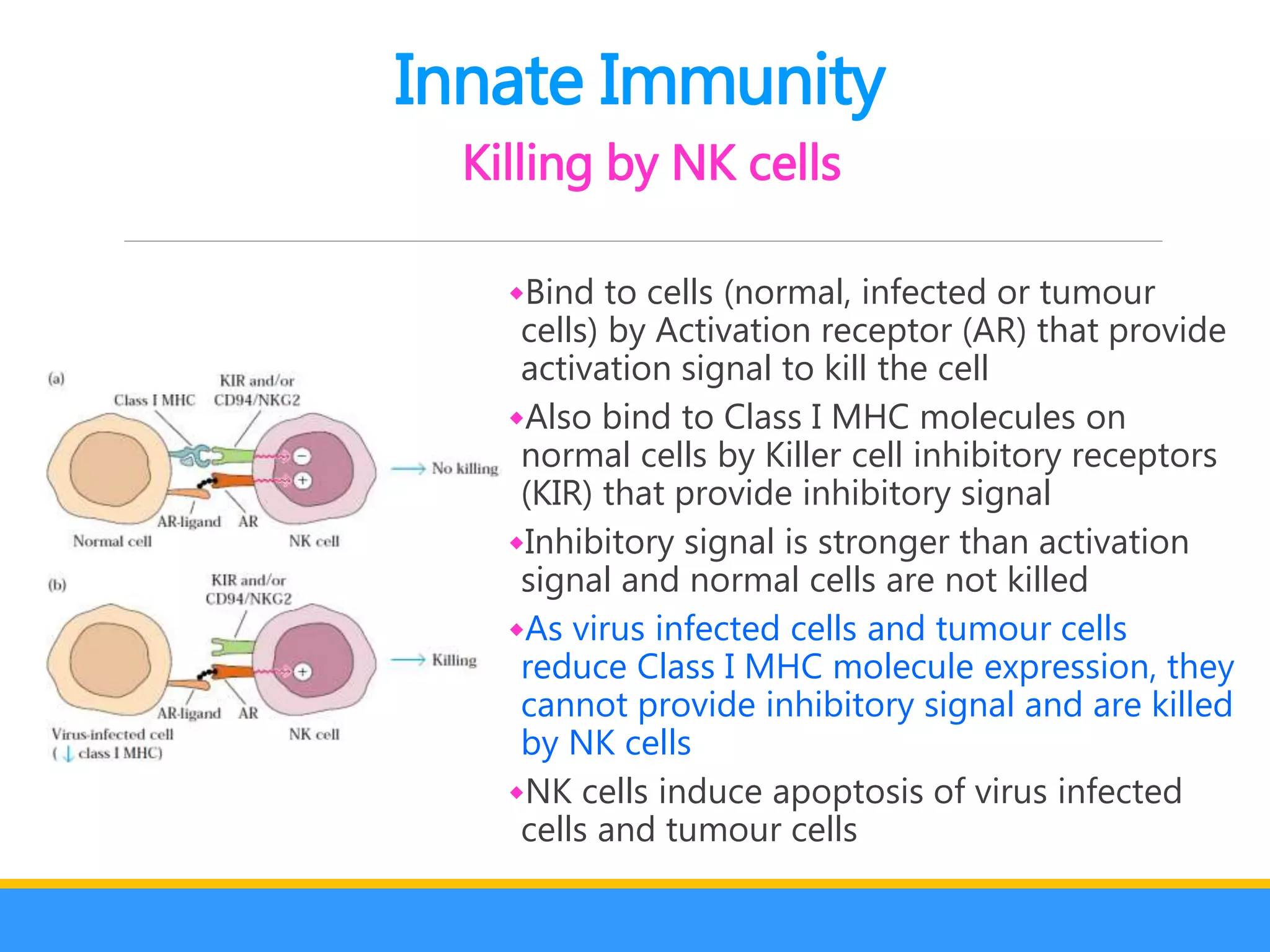 Humoral immune response | PPTX