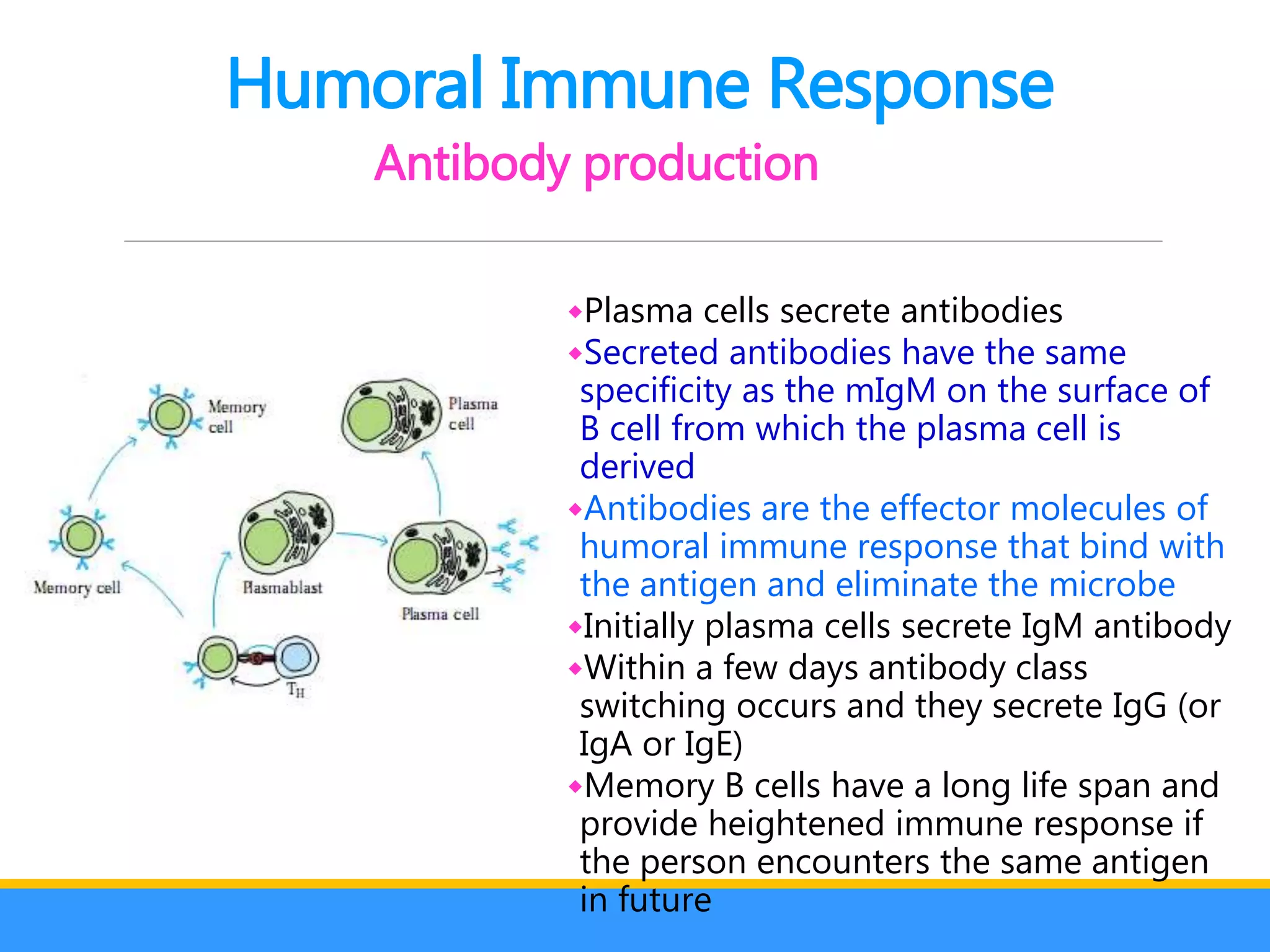 Humoral immune response | PPTX