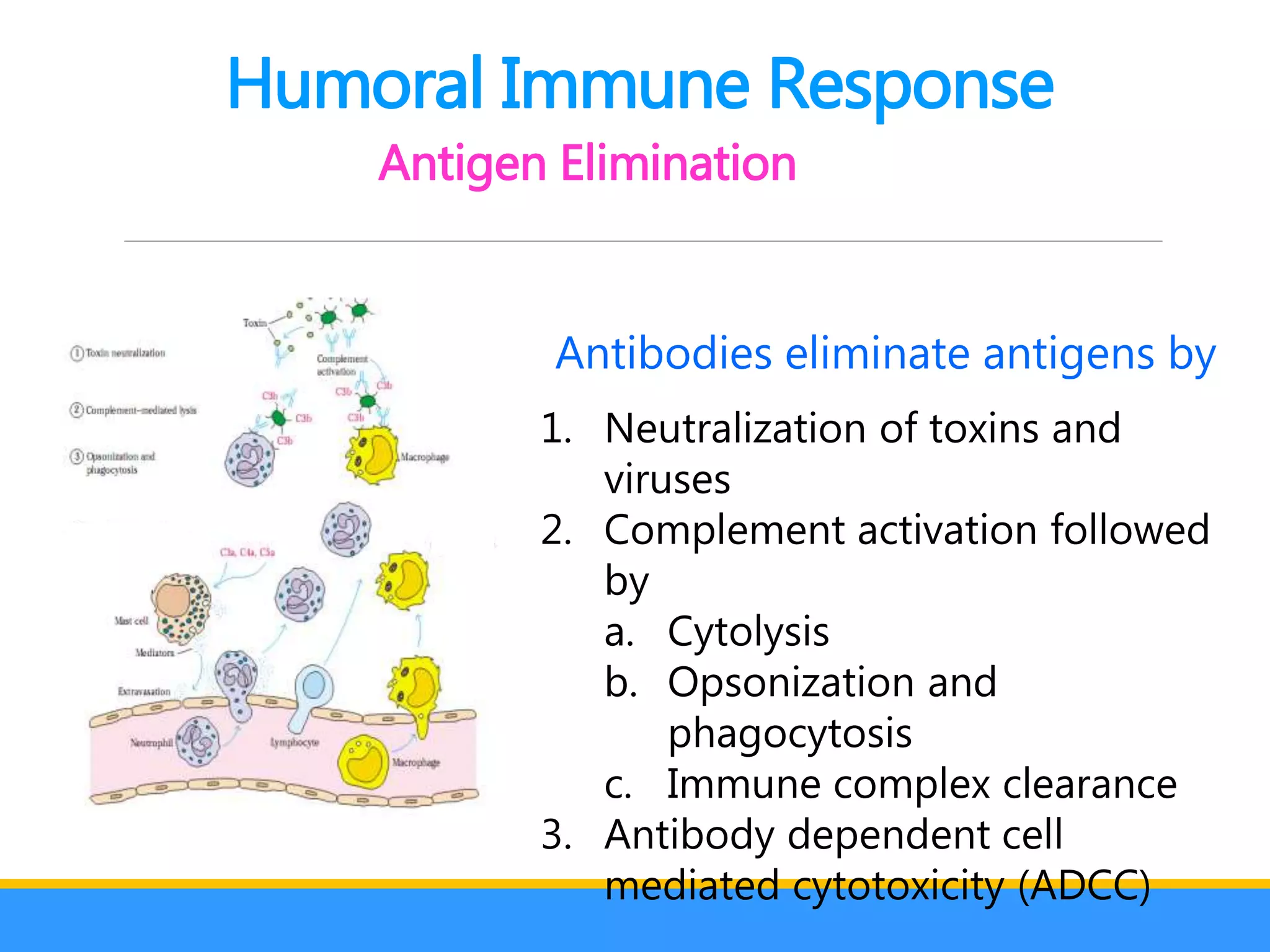 Humoral immune response | PPTX