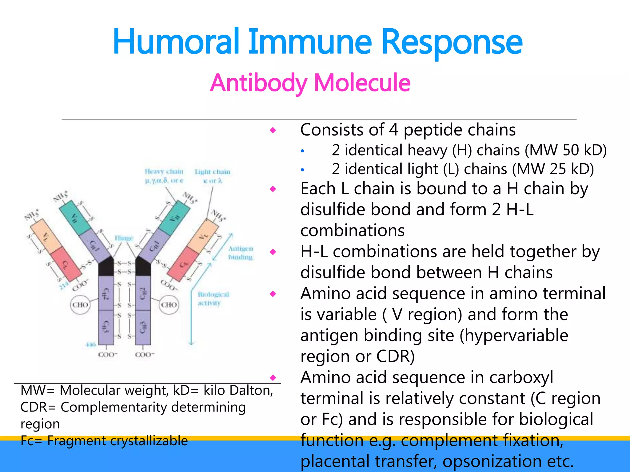 Humoral immune response | PPTX