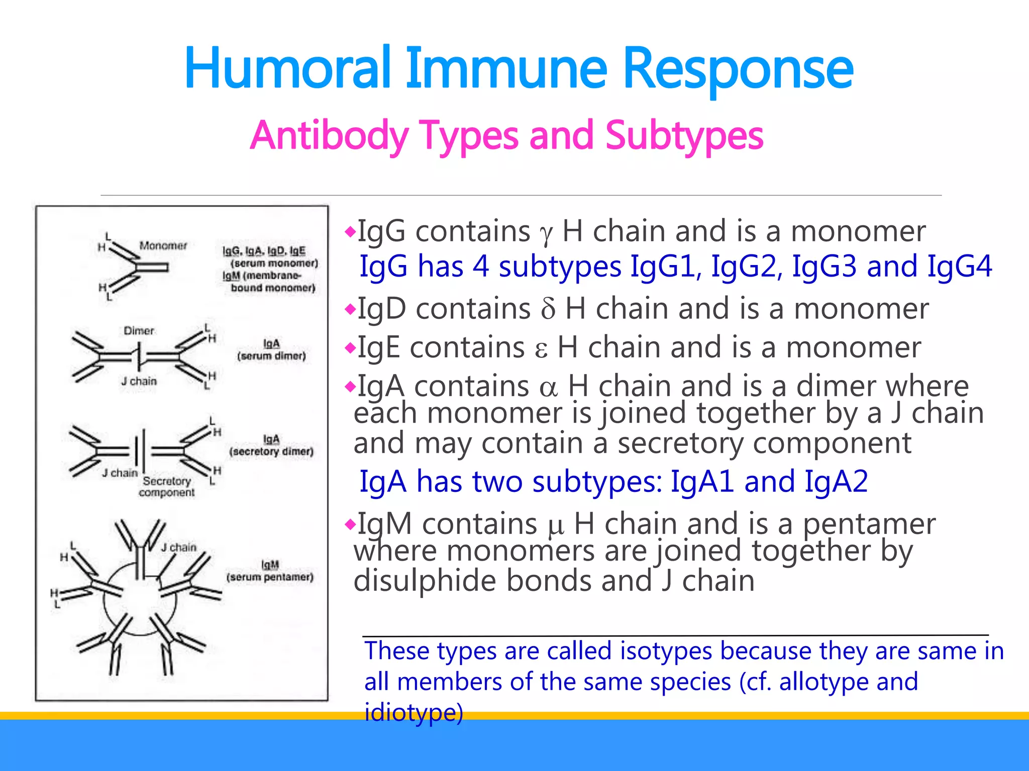 Humoral immune response | PPTX