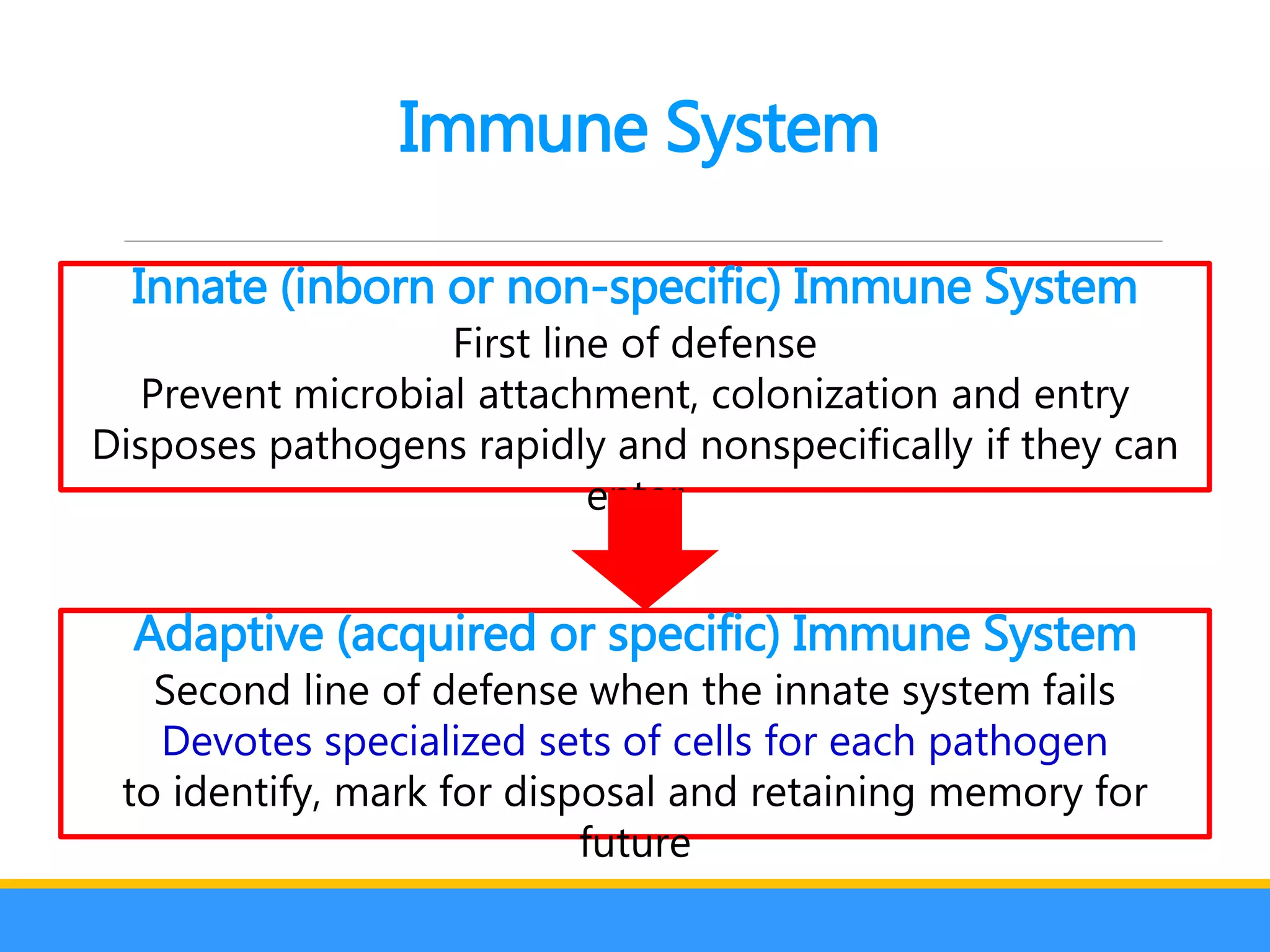 Humoral immune response | PPTX