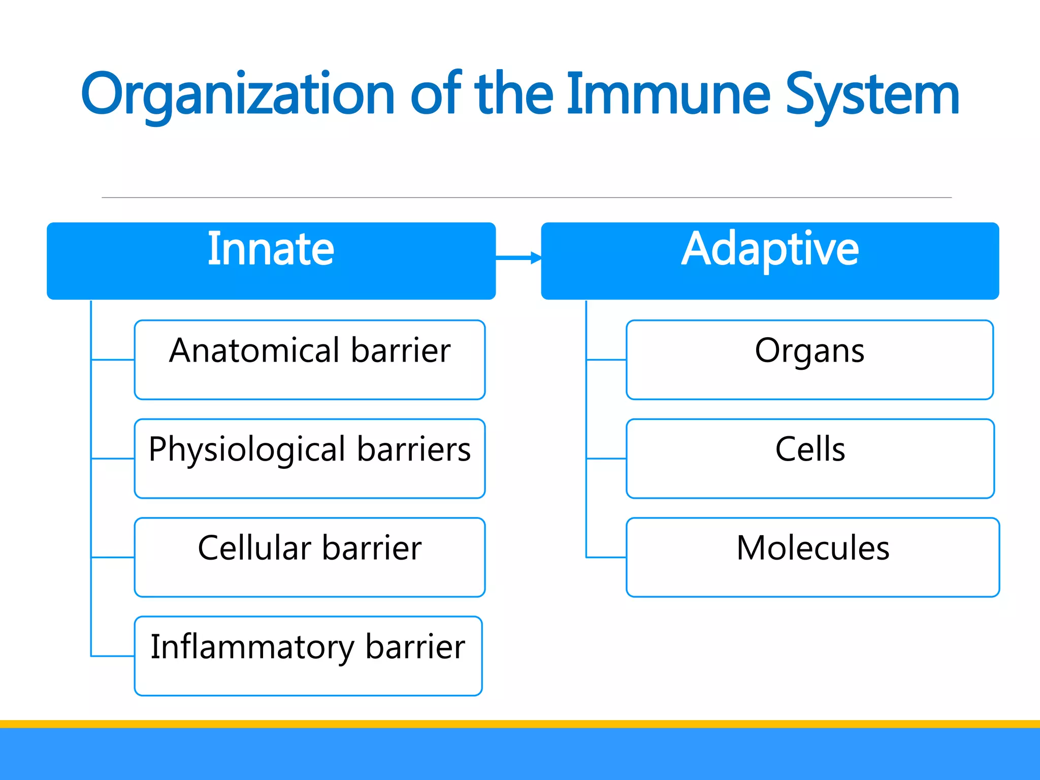Humoral immune response | PPTX