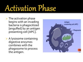 Humoral immune response | PPTX