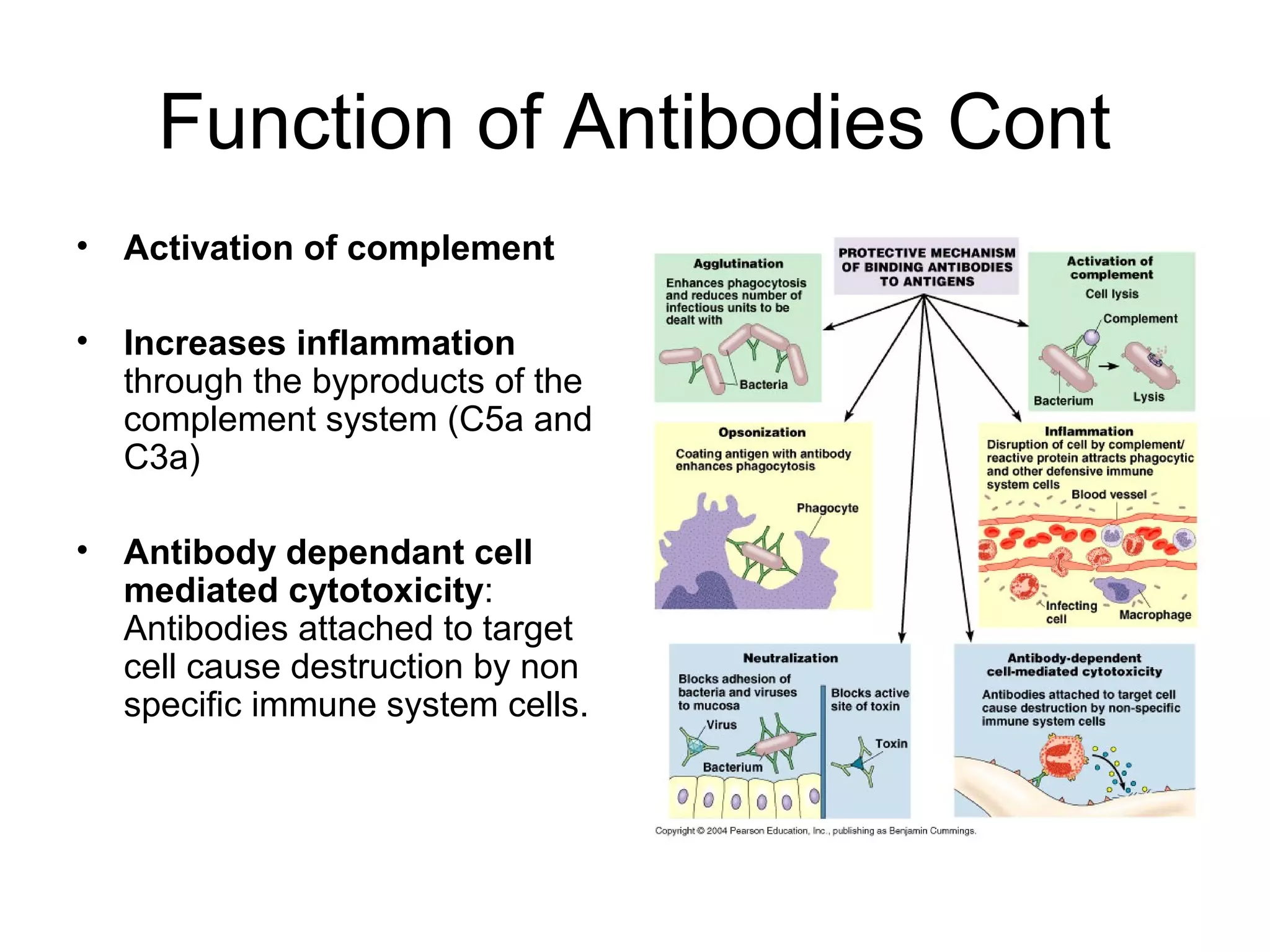 Humoral immunity | PPT