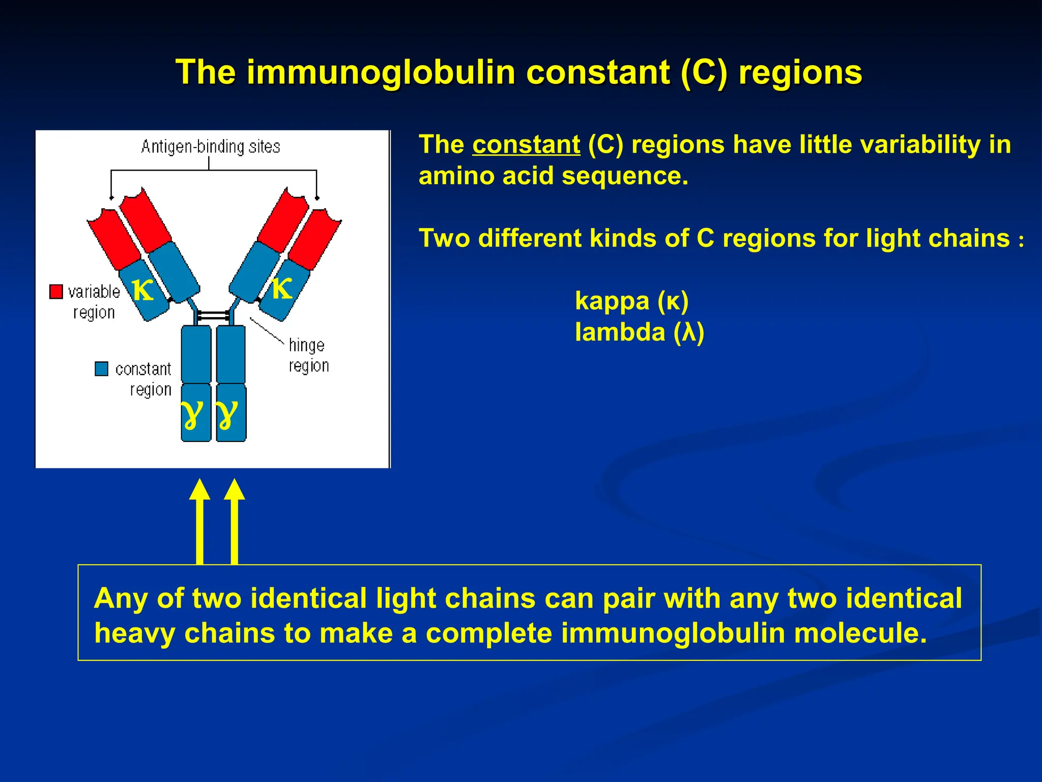 HUMORAL IMMUNITY PRESENTATION IN IMMUNOLOGY | PPT
