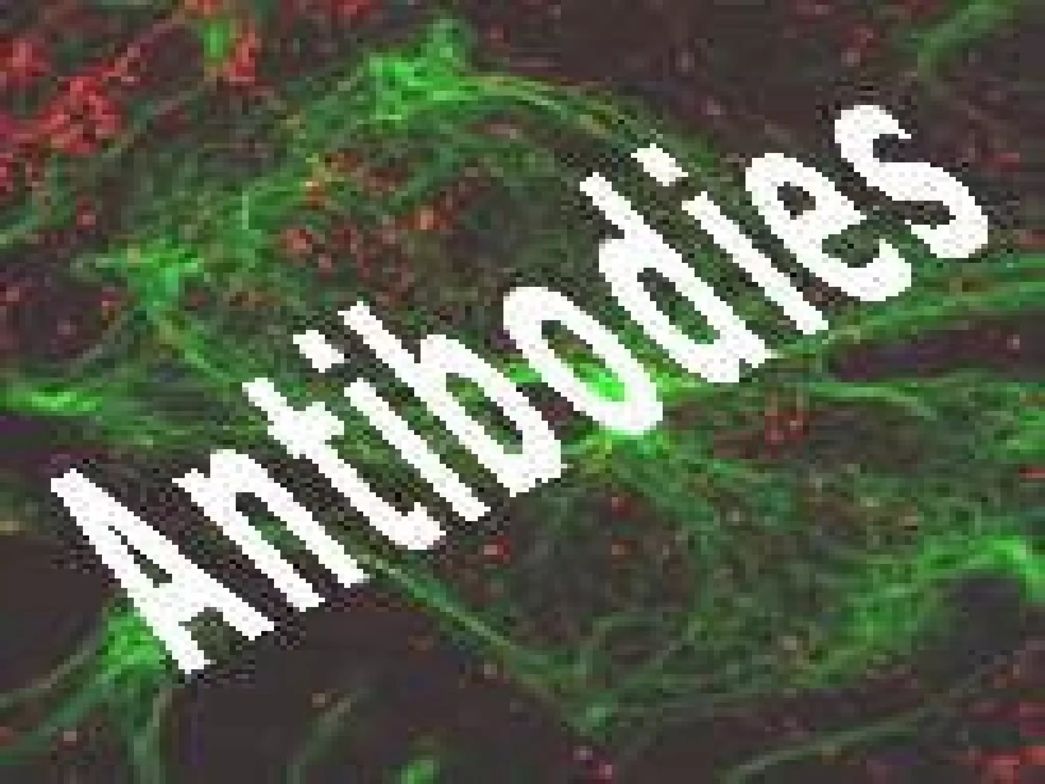 Humoral Immunity Lecture (2) | PPT