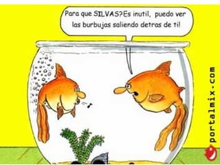 Humor grafico | PPT