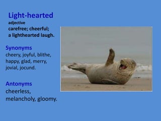 Humor vocabulary 5.3 | PPTX