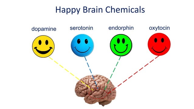 Using Humour as a Weapon | PPT