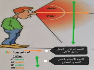 Humphery perimetry interpretation (part1) | PPTX