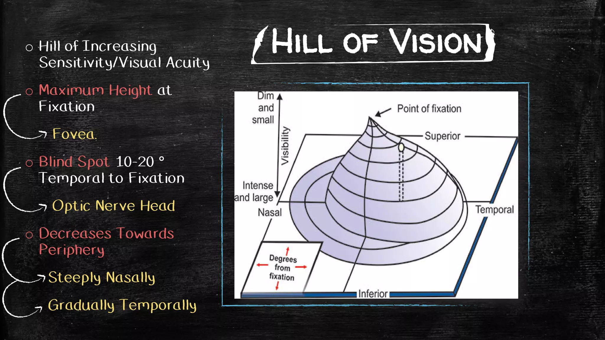 Visual Field | Humphrey Perimetry | PDF