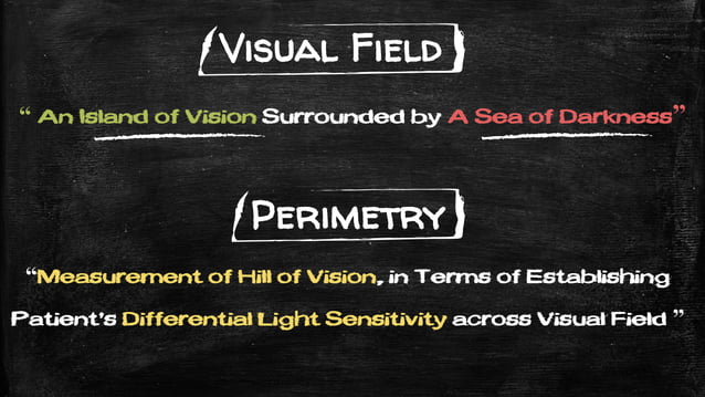 Visual Field | Humphrey Perimetry | PDF | Eye and Vision Conditions | Diseases and Conditions
