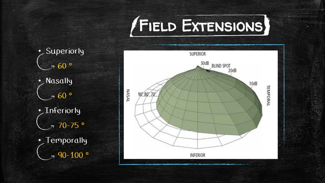 Visual Field | Humphrey Perimetry | PDF | Eye and Vision Conditions ...