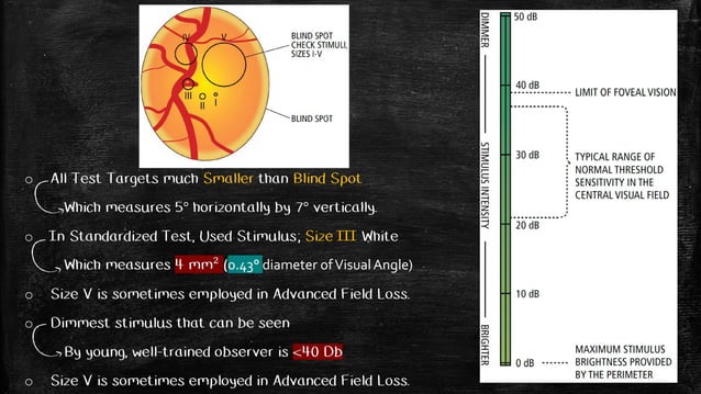 Visual Field | Humphrey Perimetry | PDF | Eye and Vision Conditions | Diseases and Conditions