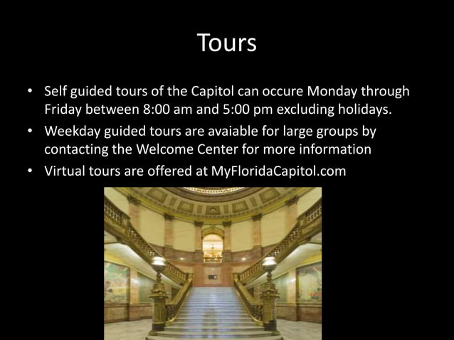 Hum presentation lauren goldstein | PPTX