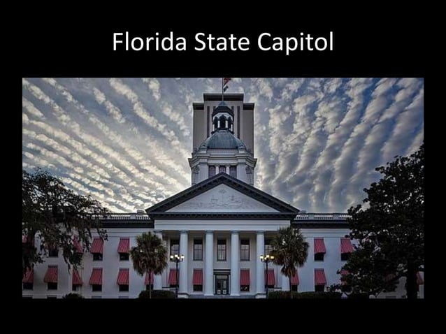 Hum presentation lauren goldstein | PPTX