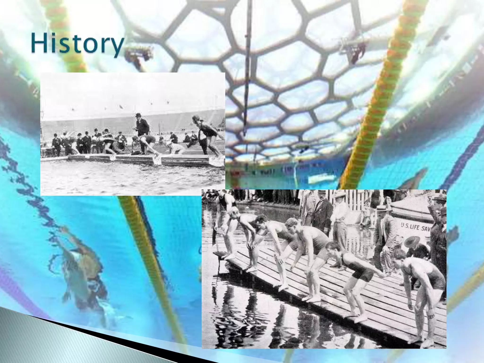 Hum presentation swimming2 | PPT