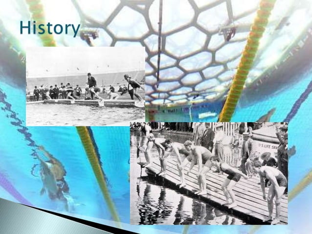 Hum presentation swimming2 | PPT