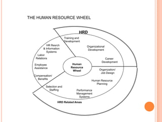 Humres infosheet2 | PPTX | Human Resources | Business