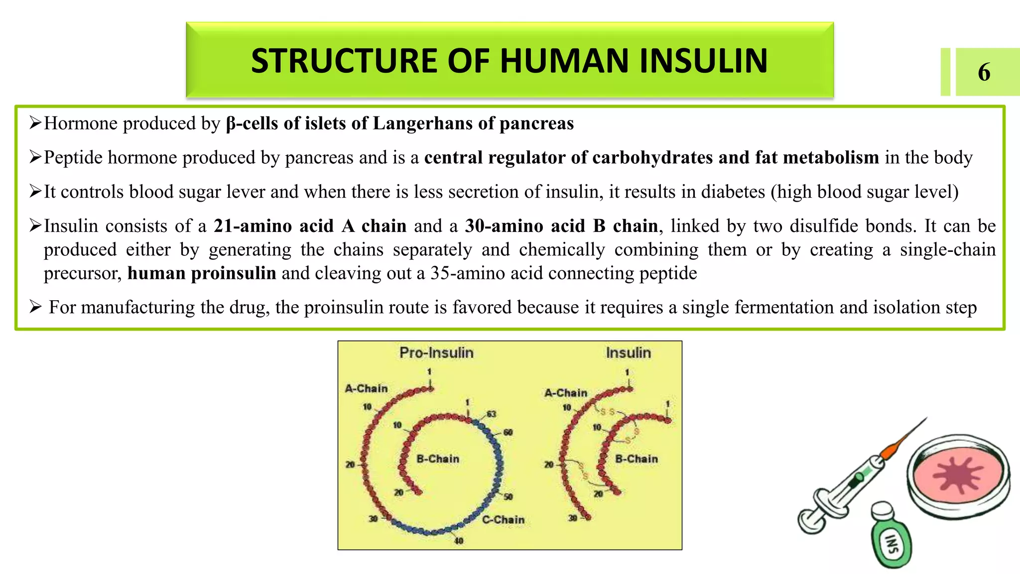 Humulin, Human Insulin | PPTX