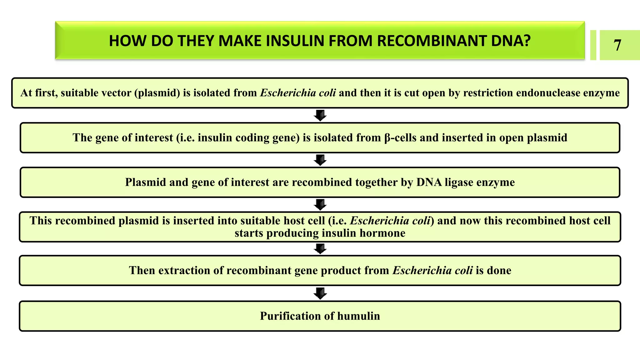 Humulin, Human Insulin | PPTX