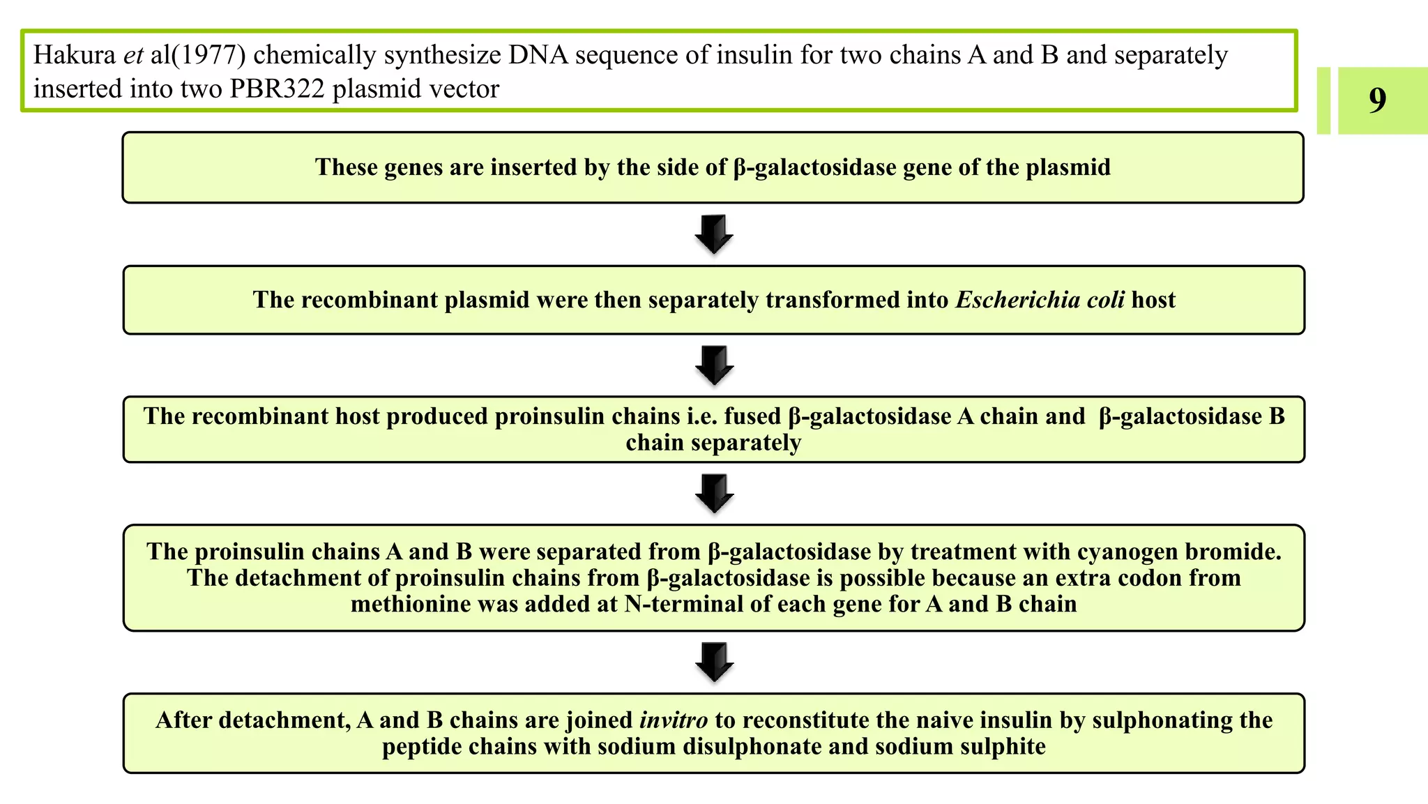 Humulin, Human Insulin | PPTX