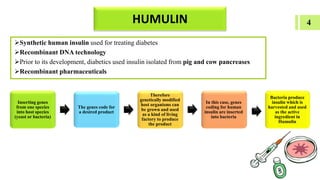 Humulin, Human Insulin | PPTX