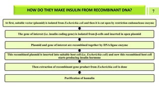 Humulin, Human Insulin | PPTX