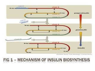 Humulin Revised | PPTX