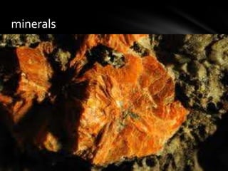 Humus | PPTX | Geology | Science