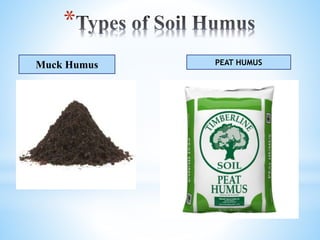 Soil humus | PPTX