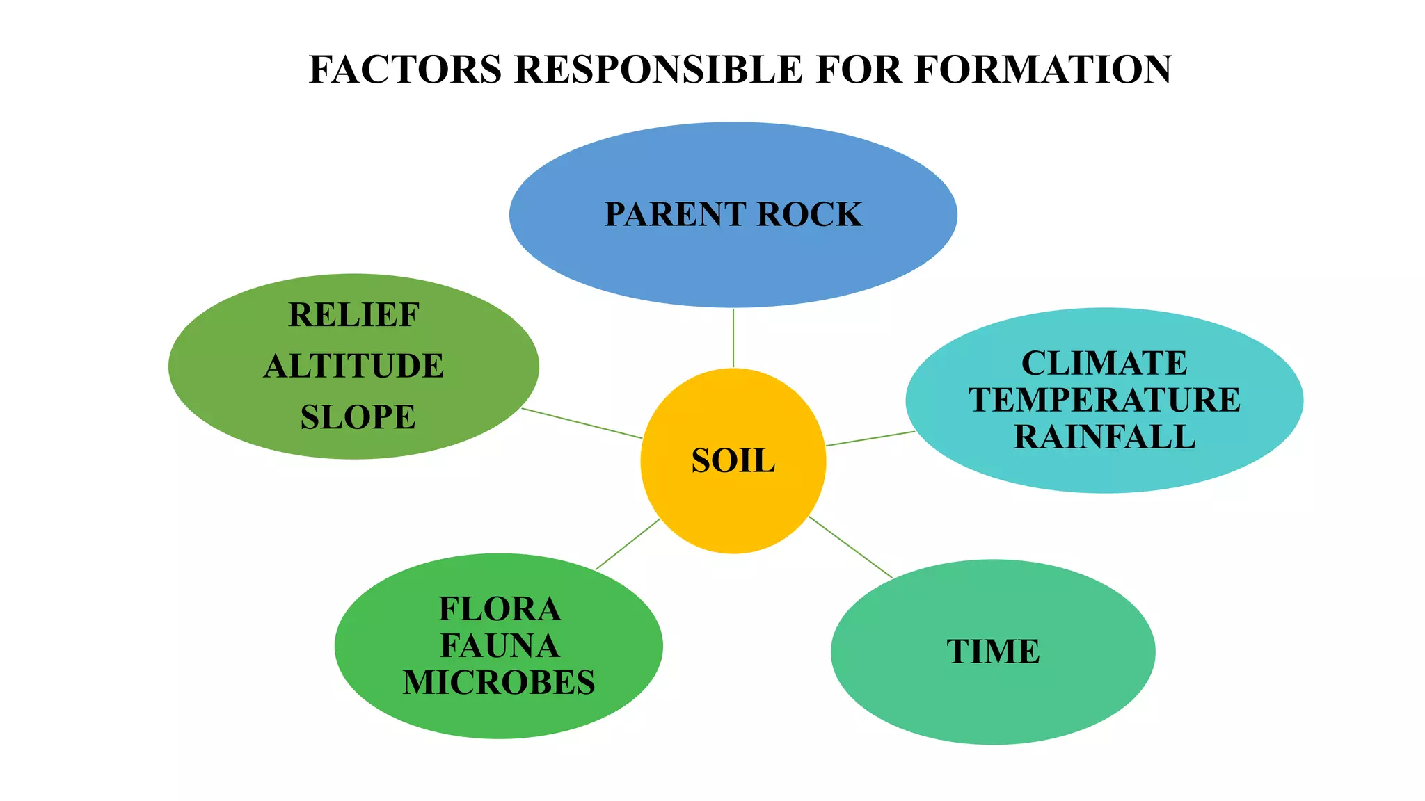 HUMUS FORMATION.pptx