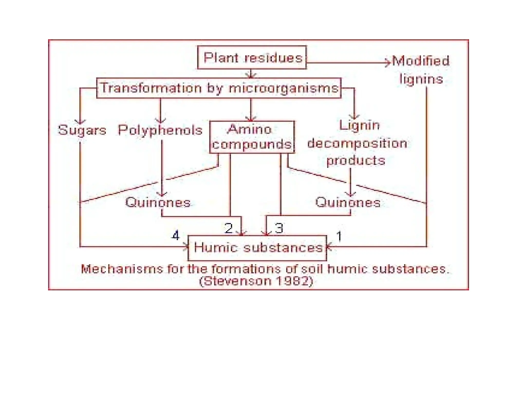 HUMUS FORMATION.pptx soil and agricultural microbiology | PPTX