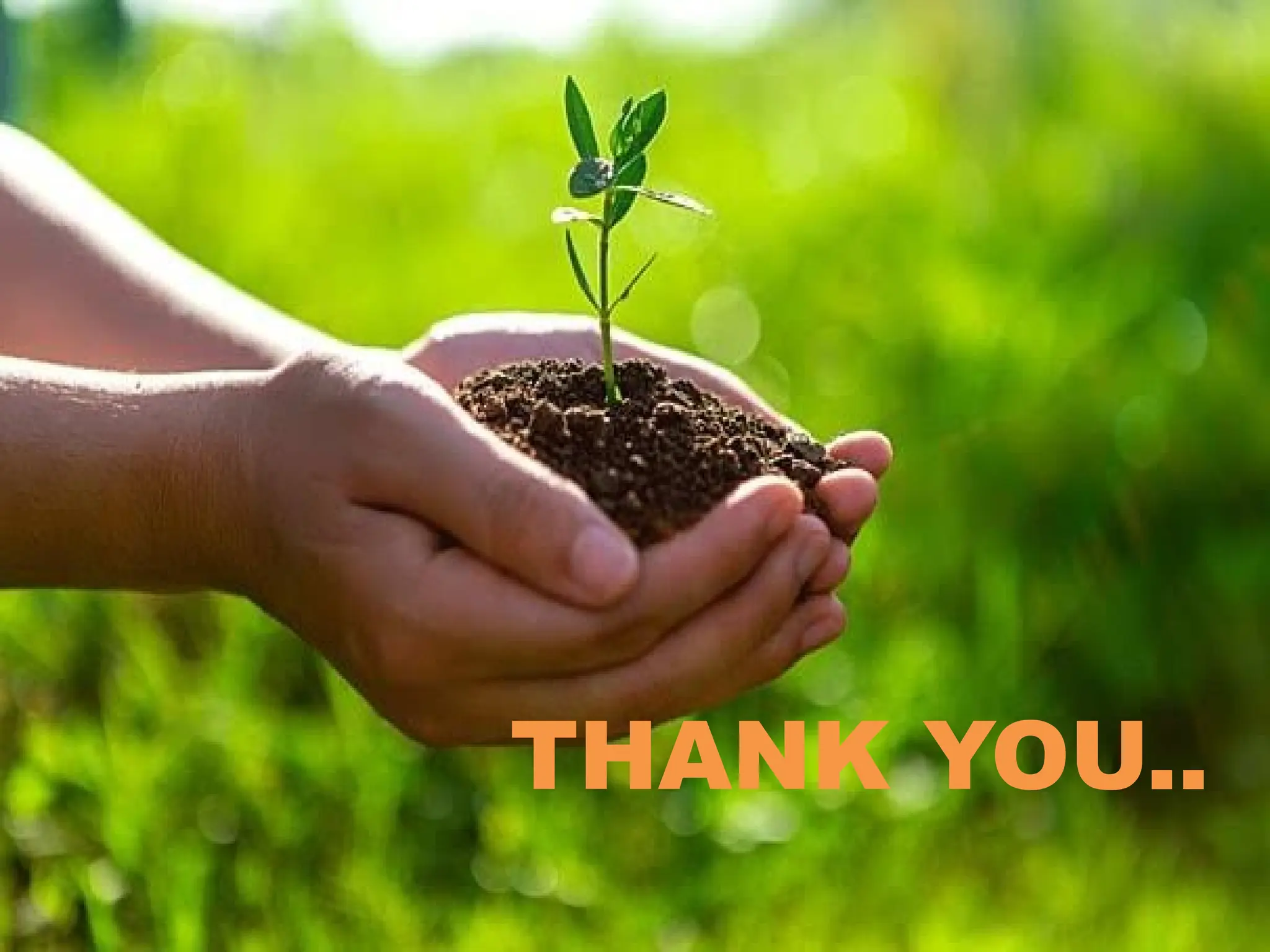 HUMUS FORMATION.pptx soil and agricultural microbiology | PPTX